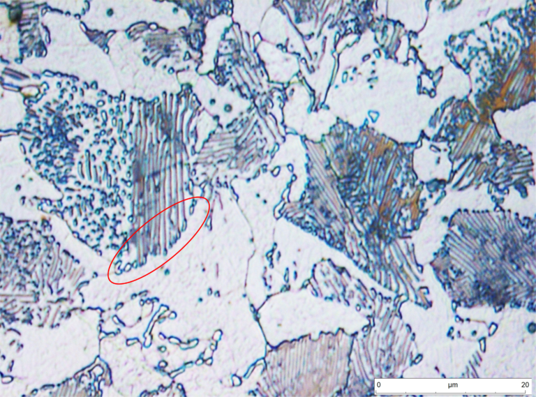 Microestructuras con perlita y ferrita