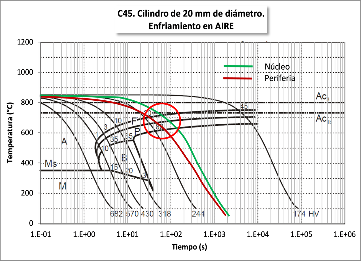 Microestructuras con perlita y ferrita